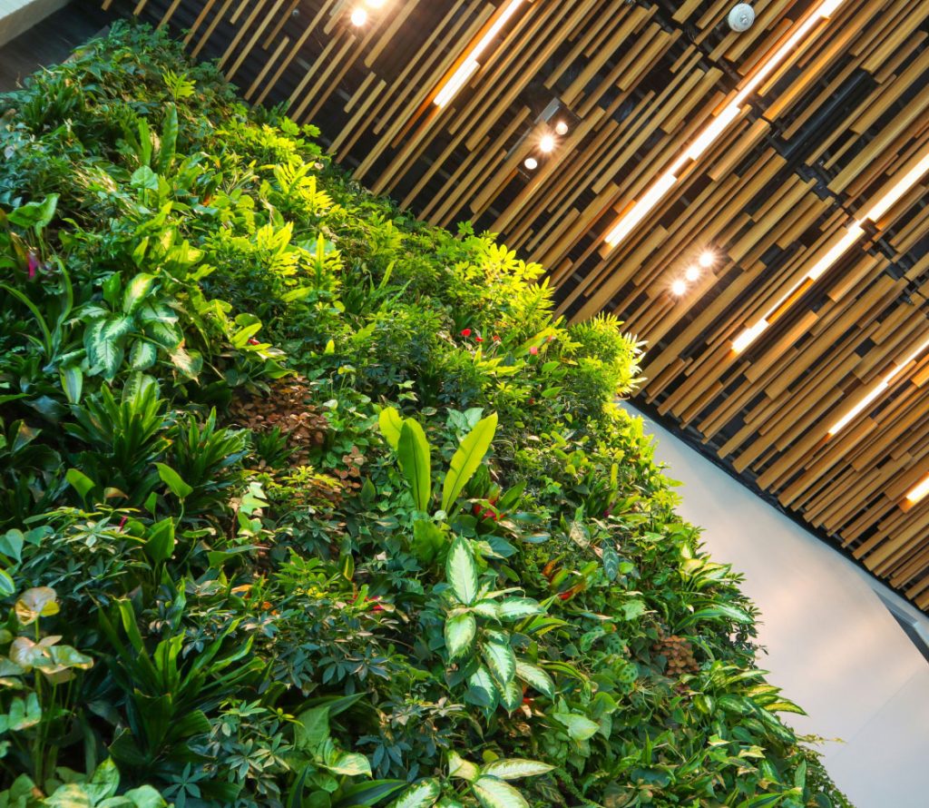 Armitage Jones. - Armitage Jones